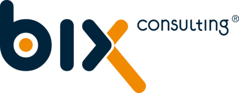 SAP BW Rollen & Berechtigungen - biX Consulting